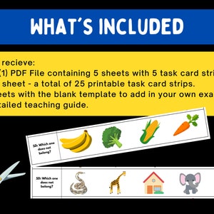 ABLLS-R, G29 Labels Exclusion From a Category, ABA Therapy, Autism ...