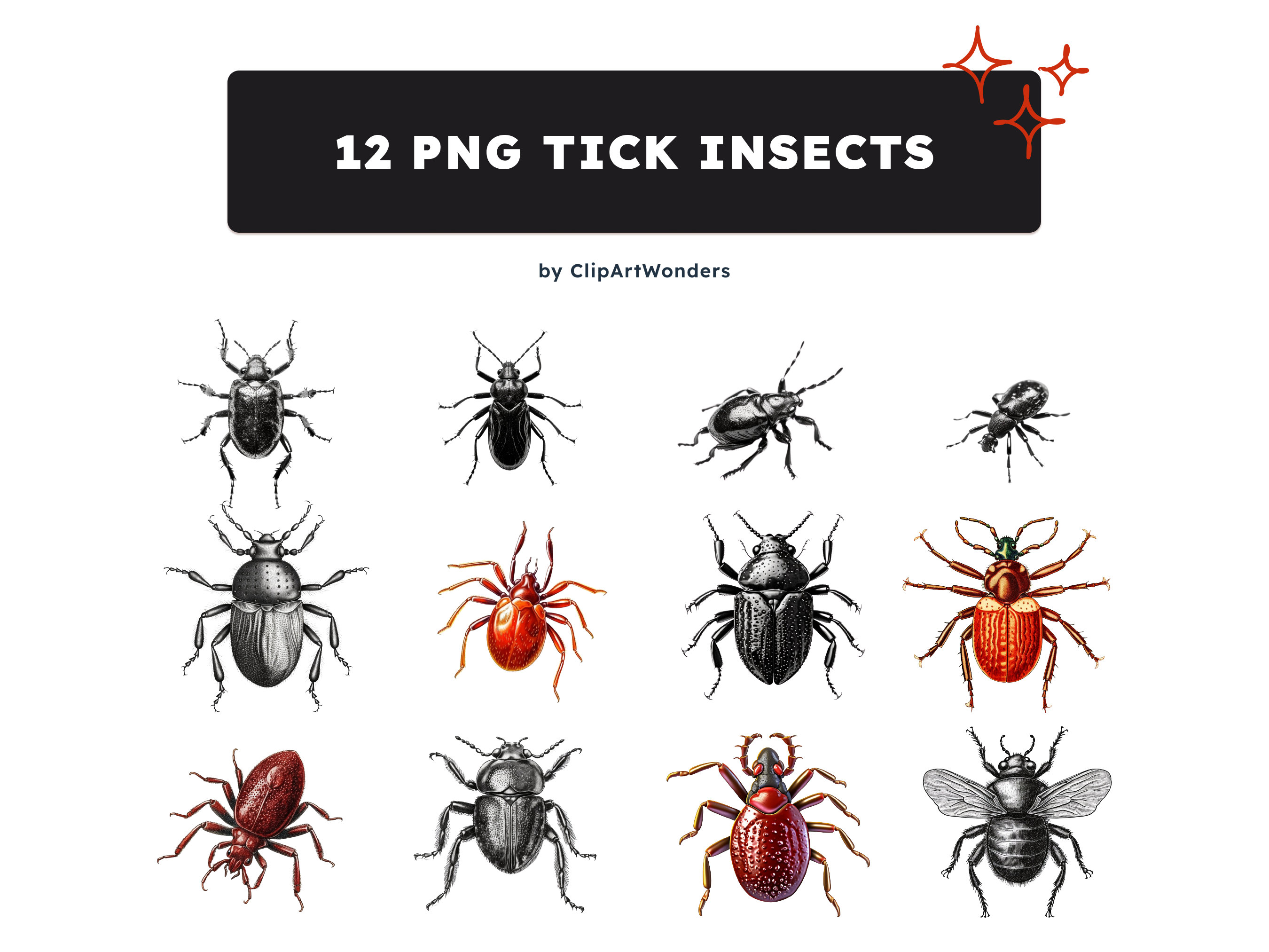 Tick Insect Clipart Pngs With Transparent Background - Etsy
