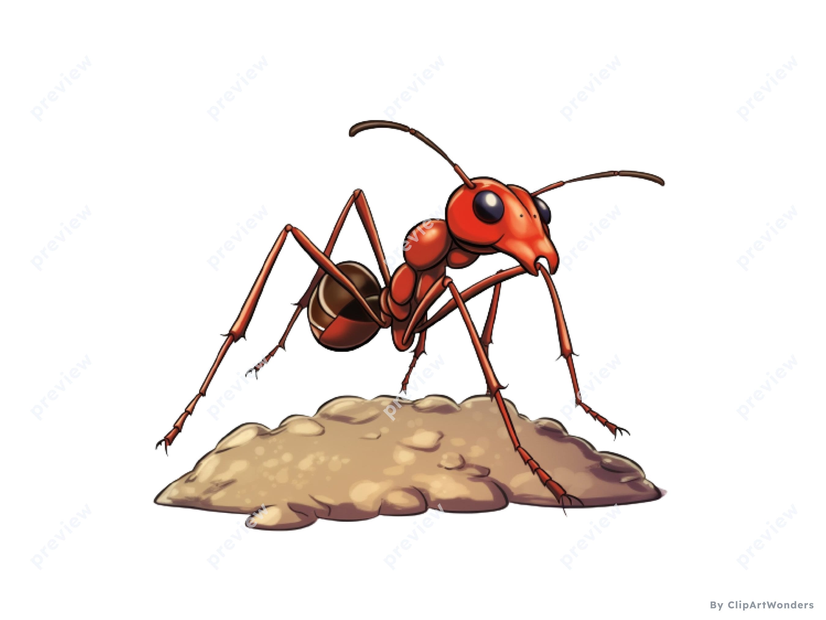 Digital Ant Insect Clipart Pngs With Transparent Background - Etsy