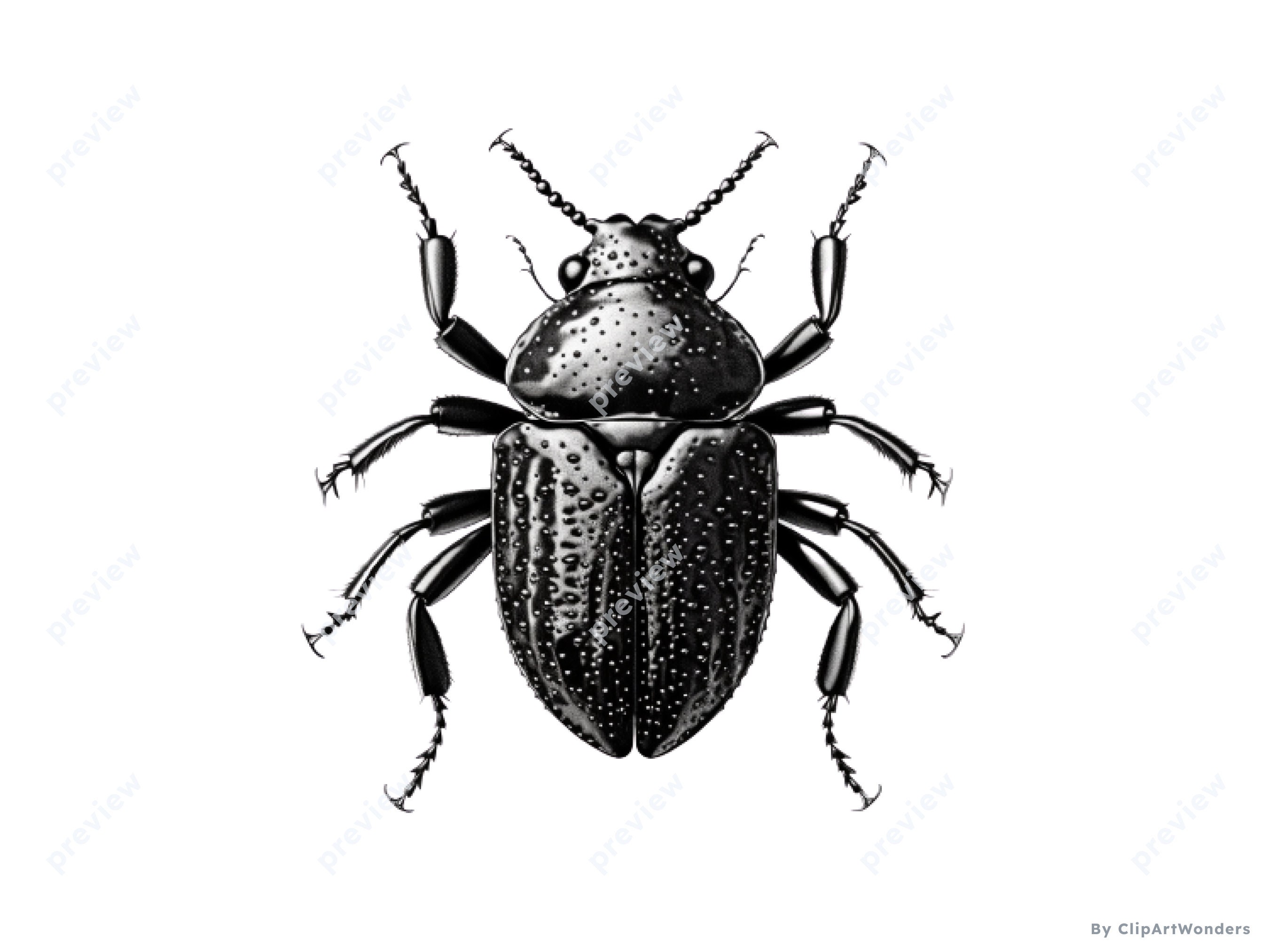 Tick Insect Clipart Pngs With Transparent Background - Etsy