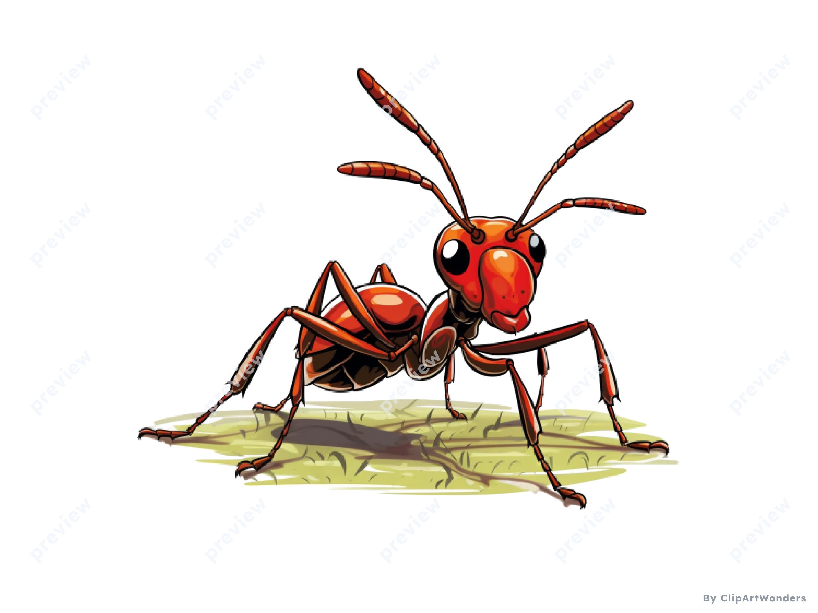 Digital Ant Insect Clipart Pngs With Transparent Background - Etsy