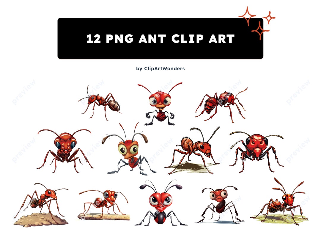 Digital Ant Insect Clipart Pngs With Transparent Background - Etsy