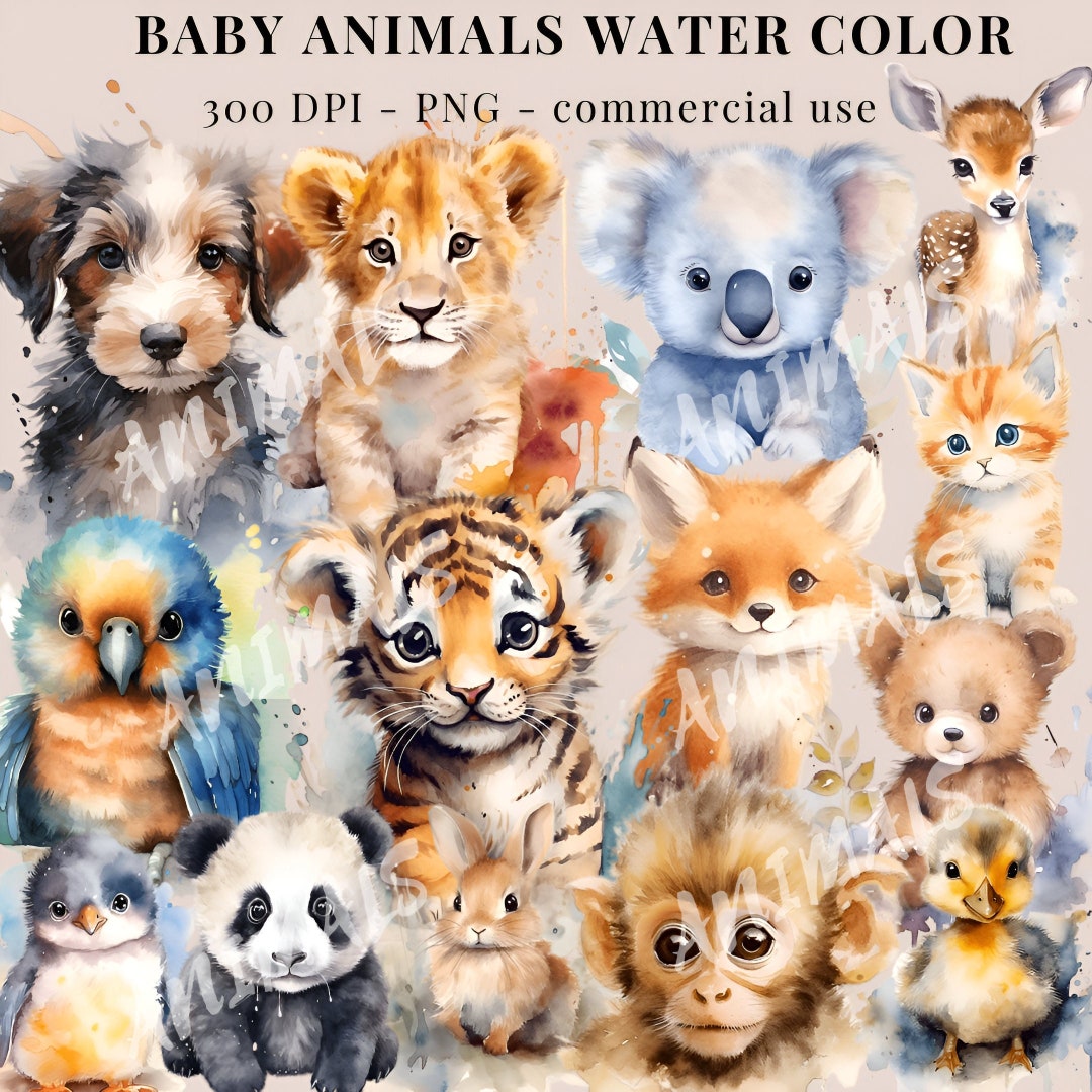 Baby Animals Water Color 28 Images 300DPI PNG High Quality Commercial ...