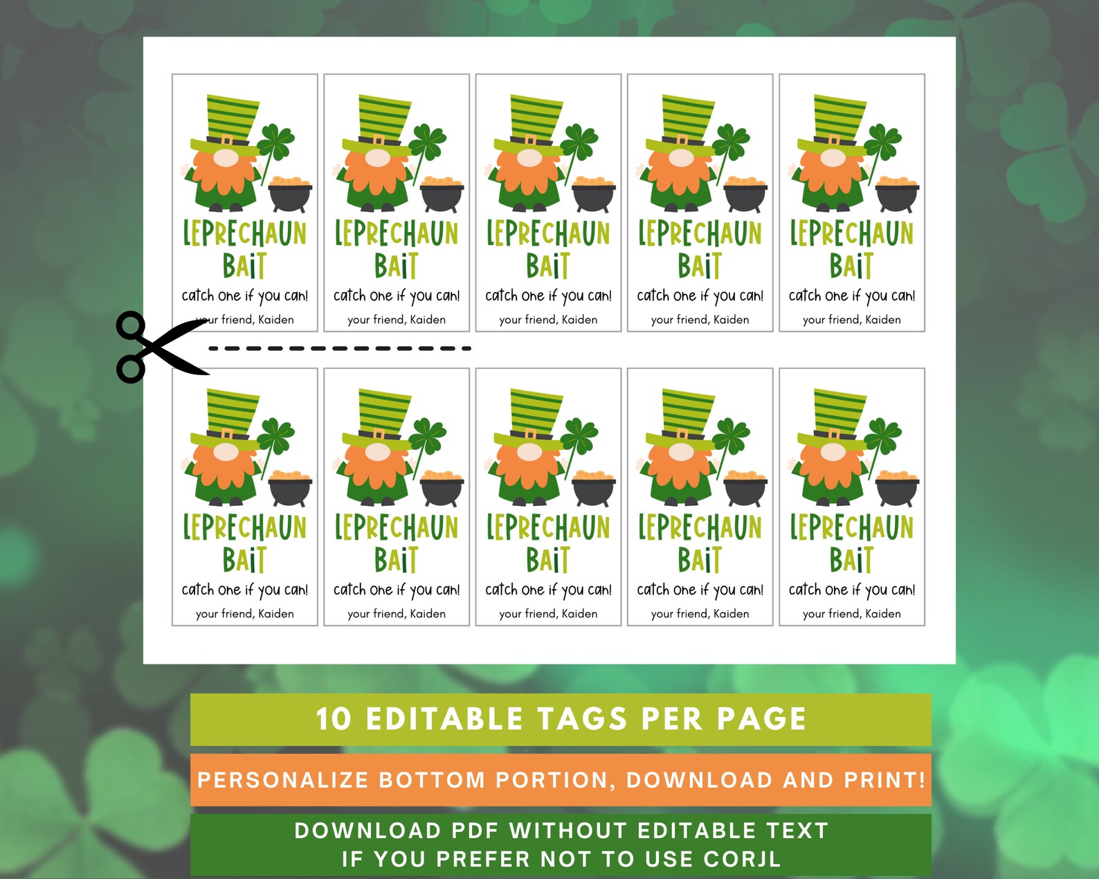 Leprechaun Bait - St Patricks Day Printable - Kids St Patricks Day ...