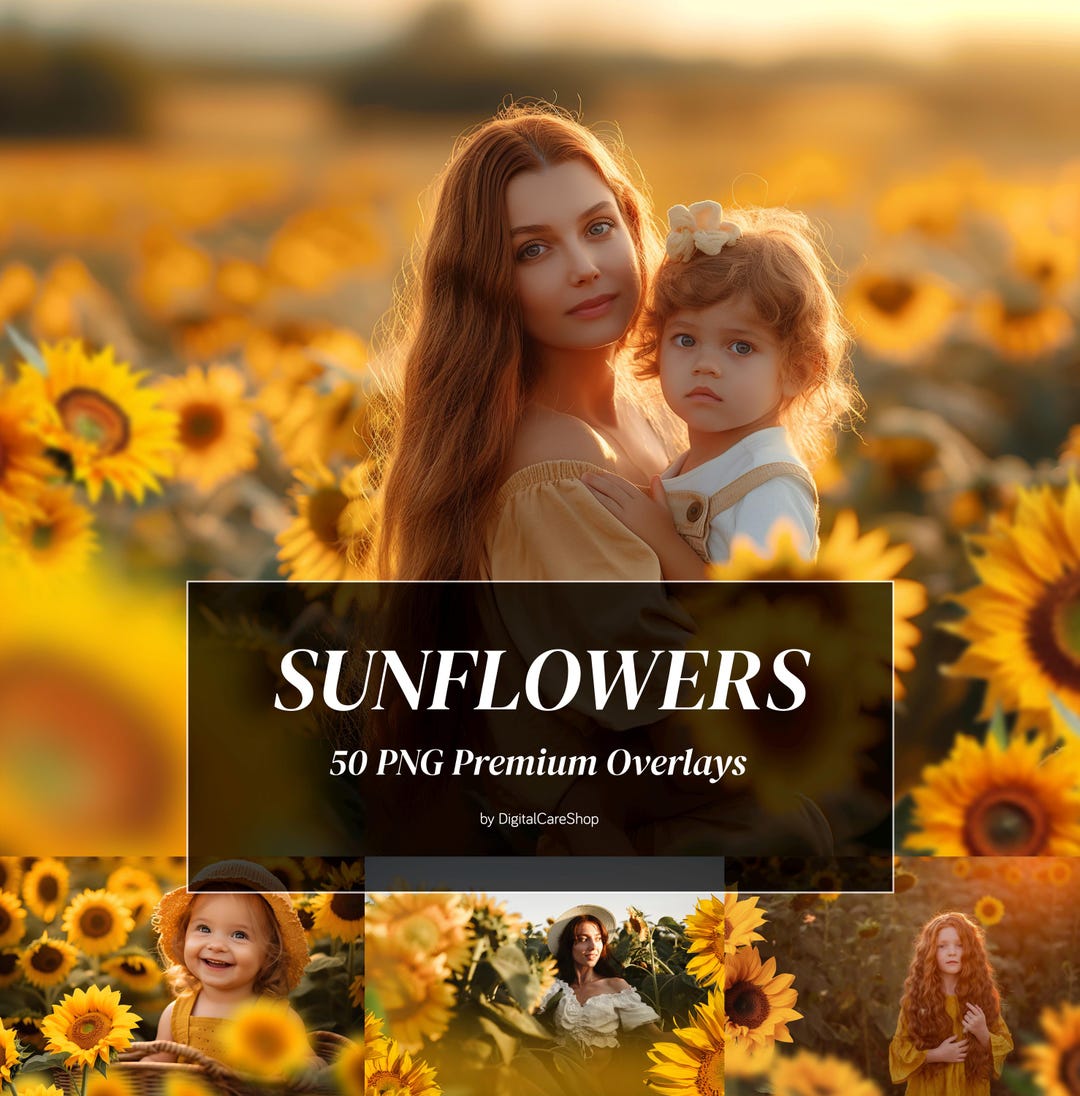 50 Sunflower Overlays Summer Backdrops Sunflowers Field Digital ...