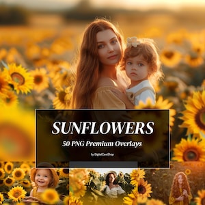 50 Sunflower Overlays Summer Backdrops Sunflowers Field Digital Backdrop Sunflower Photoshop ...
