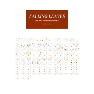 100 Falling Autumn Leaves Overlays Blowing Leaves Autumn Digital ...