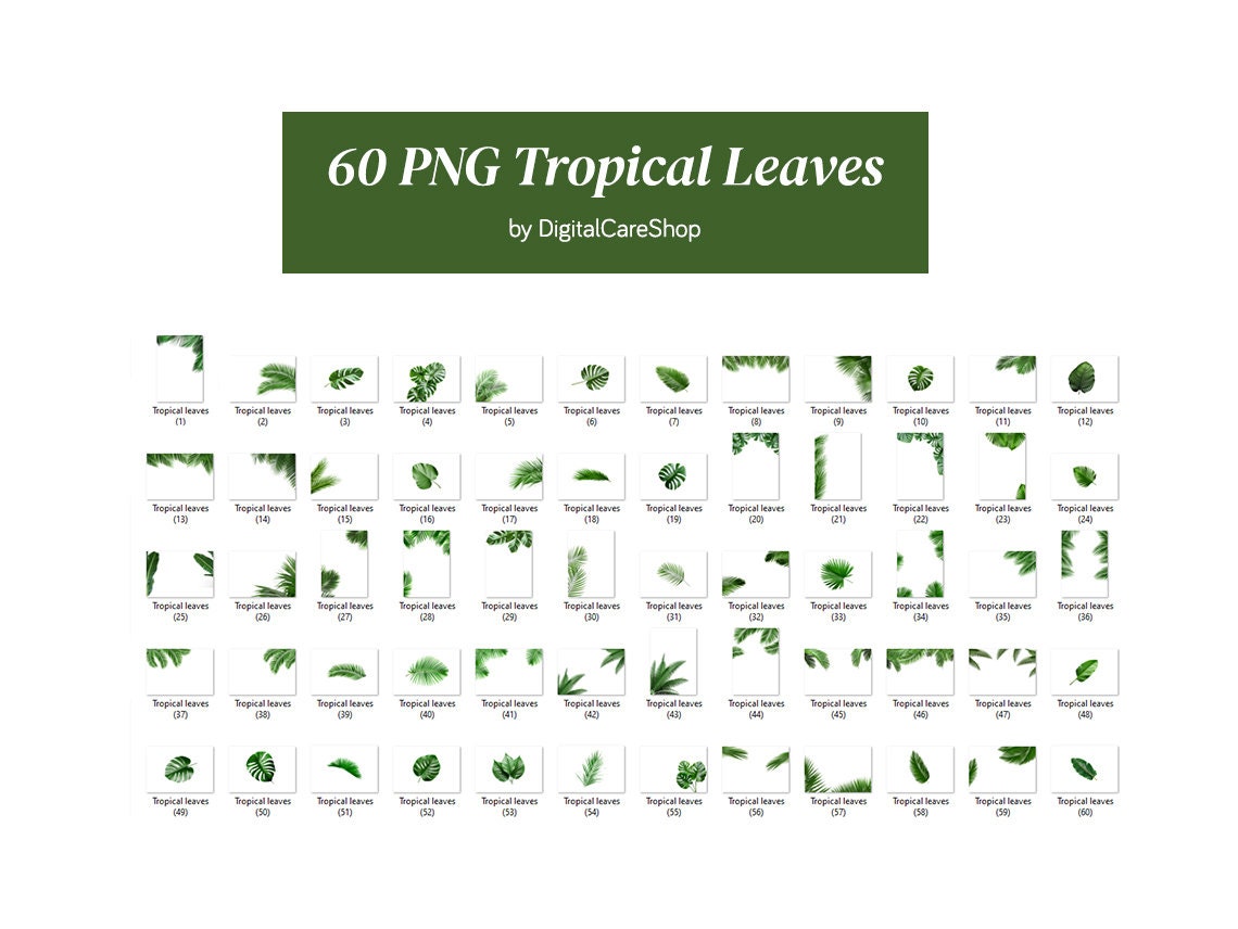 60 PNG Tropical Leaves Tropical Leaf Overlays for Photoshop Green Palm ...