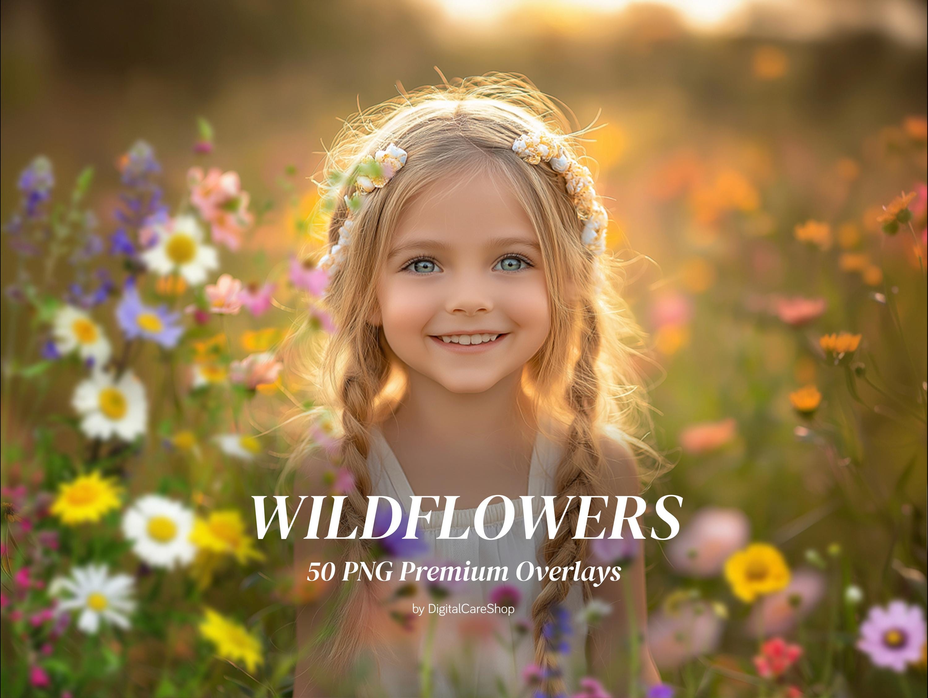 50 MULTICOLOR FLOWERS Overlays, Wildflowers Overlays, Flower Meadow ...