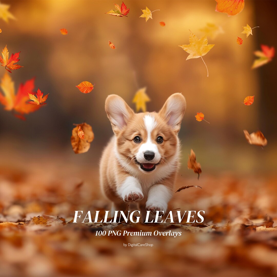 100 Falling Autumn Leaves Overlays Blowing Leaves Autumn Digital ...