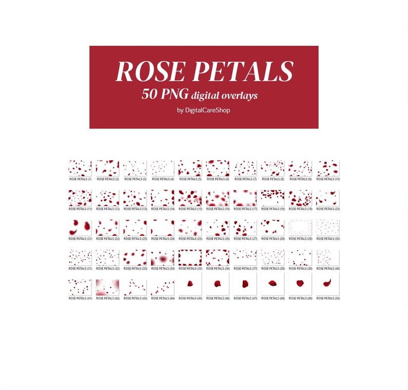 50 RED Rose Petals Overlays Falling Rose Petal Digital Overlay Romantic ...