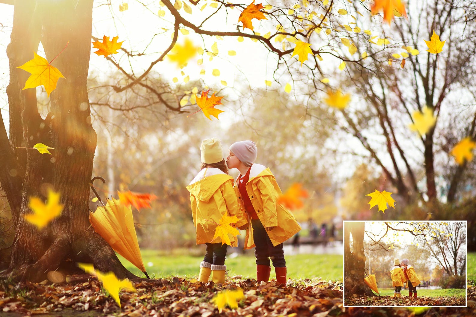 100 Falling Autumn Leaves Overlays Blowing Leaves Autumn Digital ...