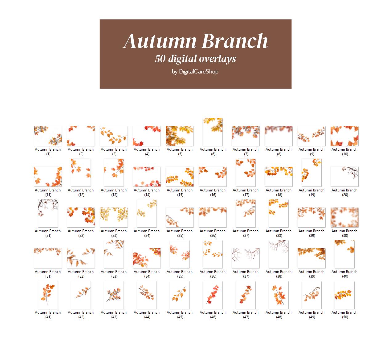 50 AUTUMN BRANCH Leaves Overlays Fall Digital Backdrops Autunumn Leaf ...