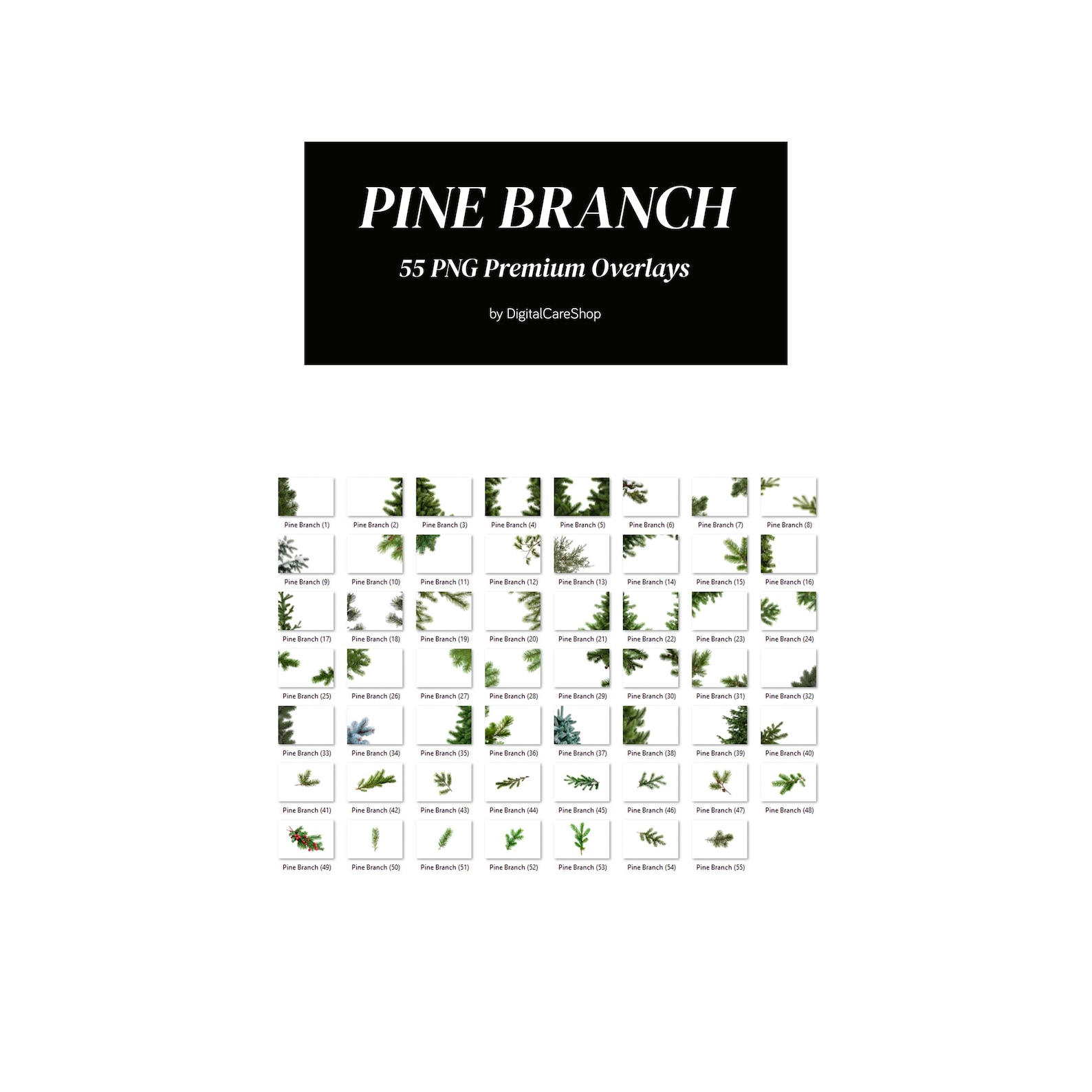55 PINE BRANCH Overlays Christmas Tree Overlay Winter Pine Backdrops ...