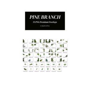 55 PINE BRANCH Overlays Christmas Tree Overlay Winter Pine Backdrops ...