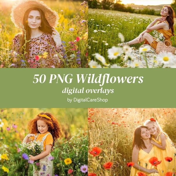 Field of Wildflowers Overlay - Etsy