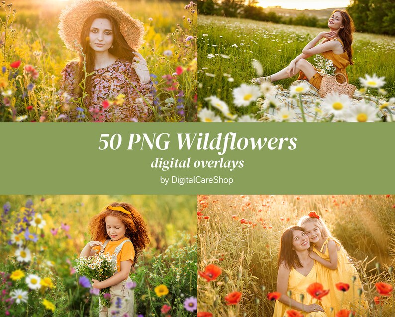 50 MULTICOLOR FLOWERS Overlays, Wildflowers Overlays, Flower Meadow ...