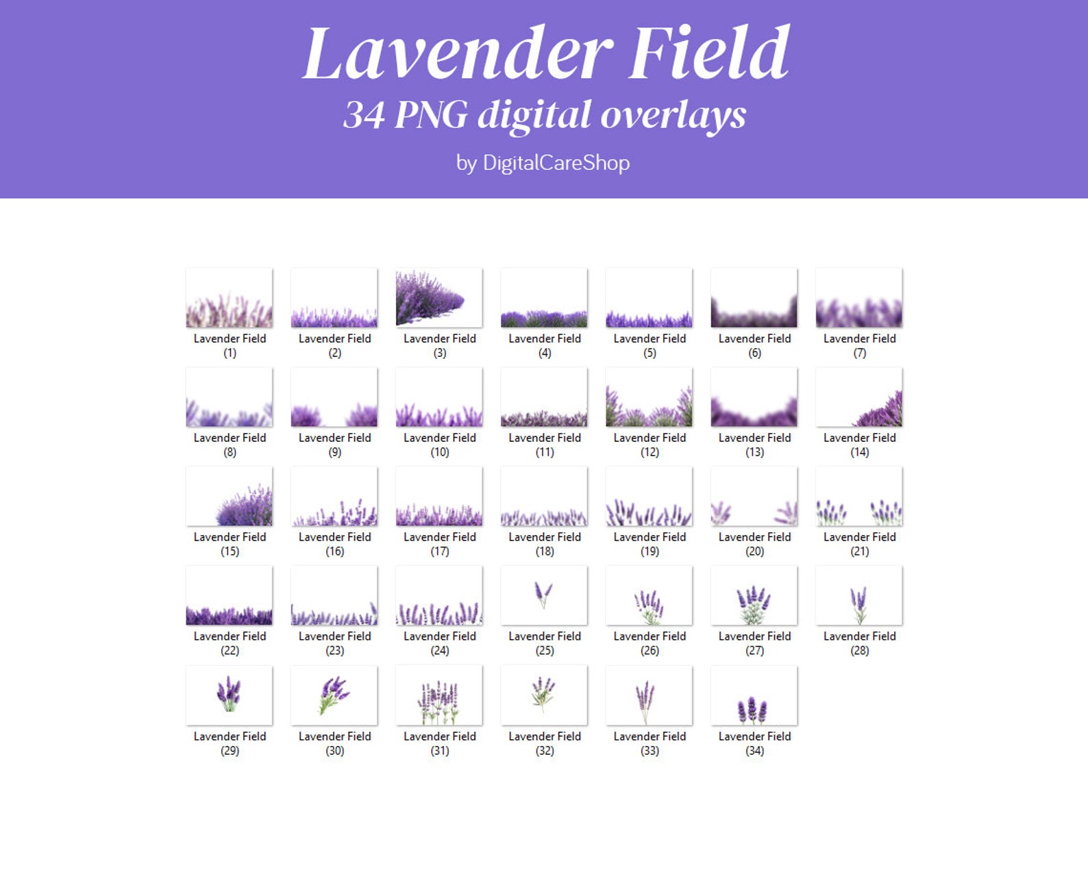34 LAVENDER FIELD Digital Overlays Shooting Through the Lavender Effect ...