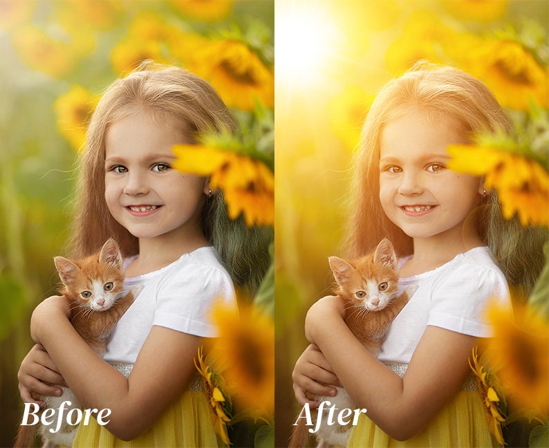 60 JPG Realistic Sunlight Natural Sunlight Overlay Photoshop Rainbow ...