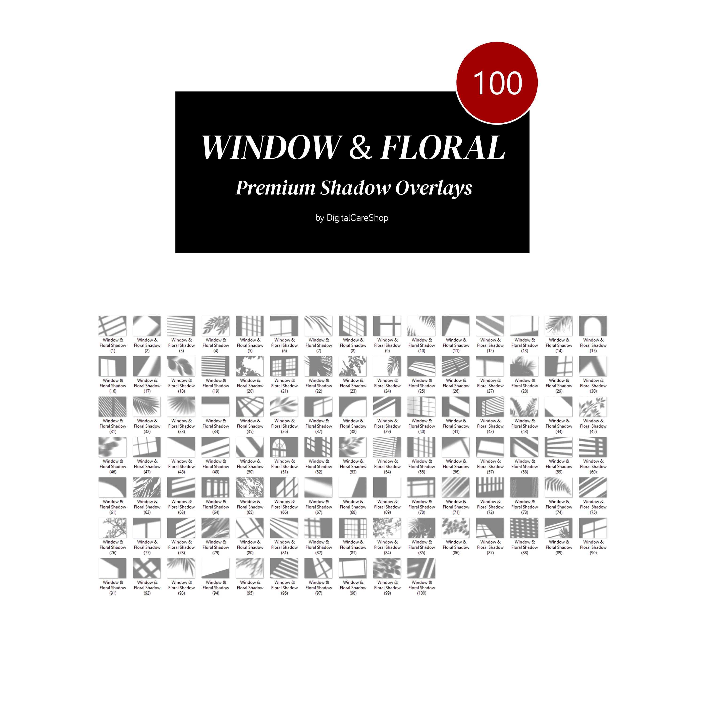 100 Shadow Overlays Window Shadows Overlay Botanic Window Light ...