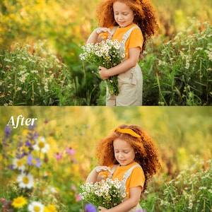 50 MULTICOLOR FLOWERS Overlays, Wildflowers Overlays, Flower Meadow ...