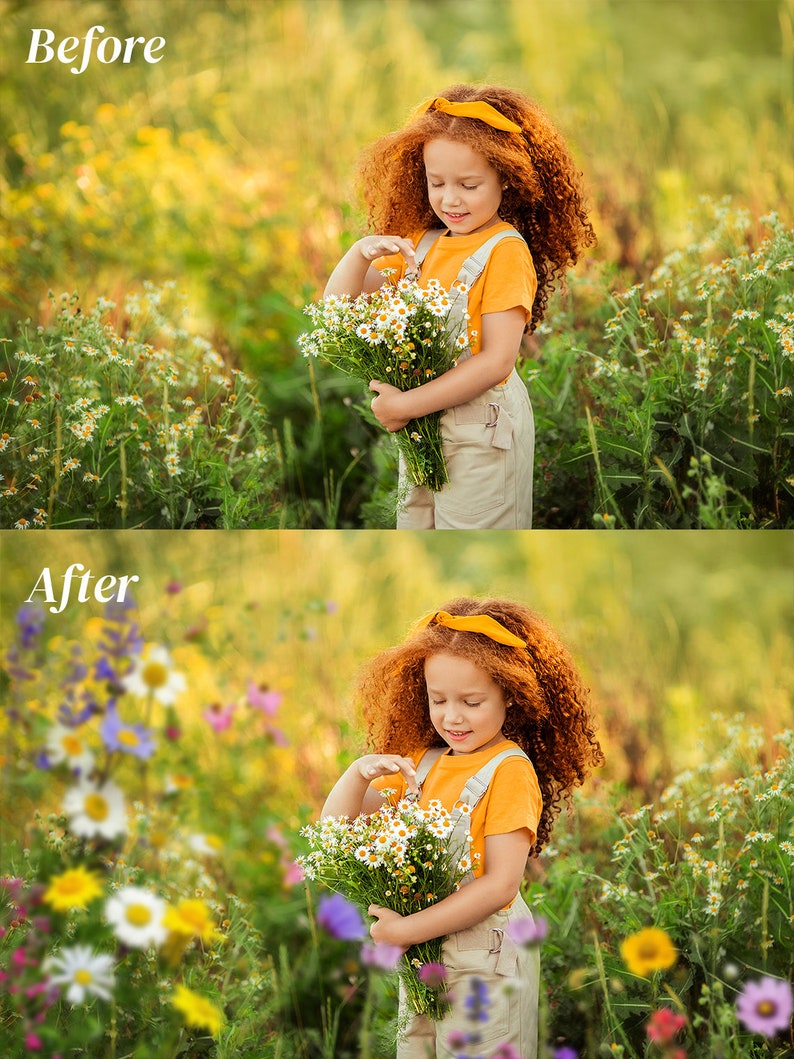 50 MULTICOLOR FLOWERS Overlays, Wildflowers Overlays, Flower Meadow ...