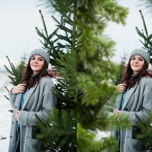 55 PINE BRANCH Overlays Christmas Tree Overlay Winter Pine Backdrops ...