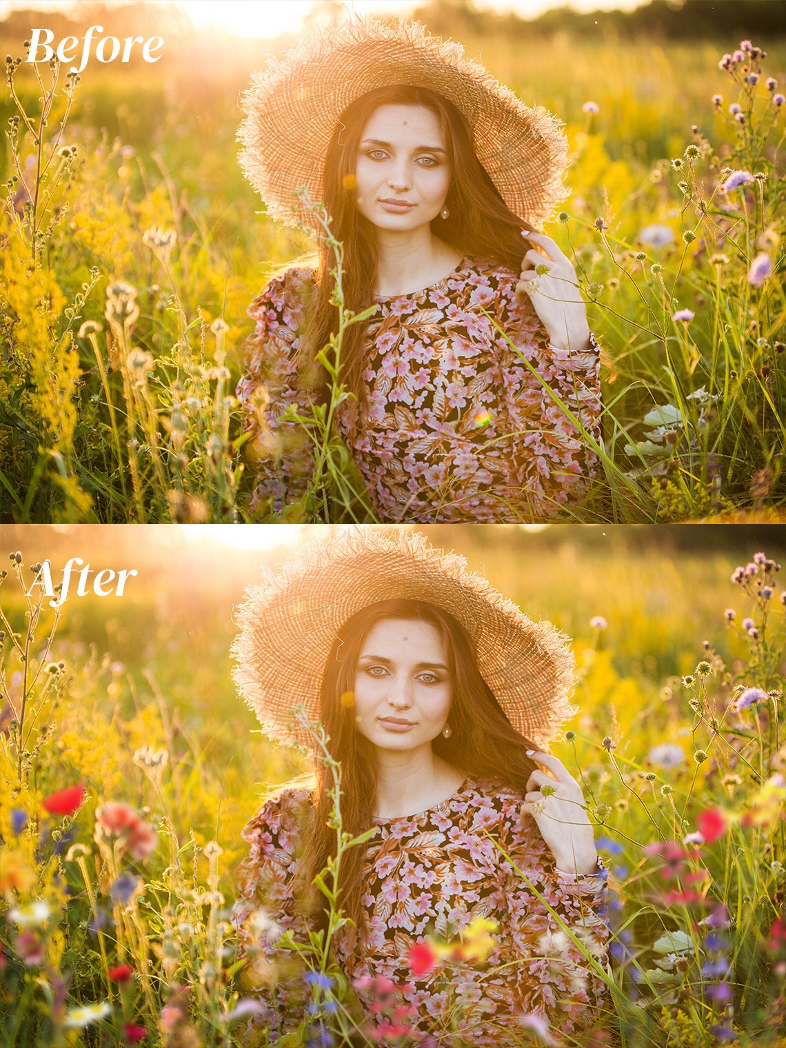 50 MULTICOLOR FLOWERS Overlays, Wildflowers Overlays, Flower Meadow ...