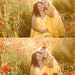 50 MULTICOLOR FLOWERS Overlays, Wildflowers Overlays, Flower Meadow ...