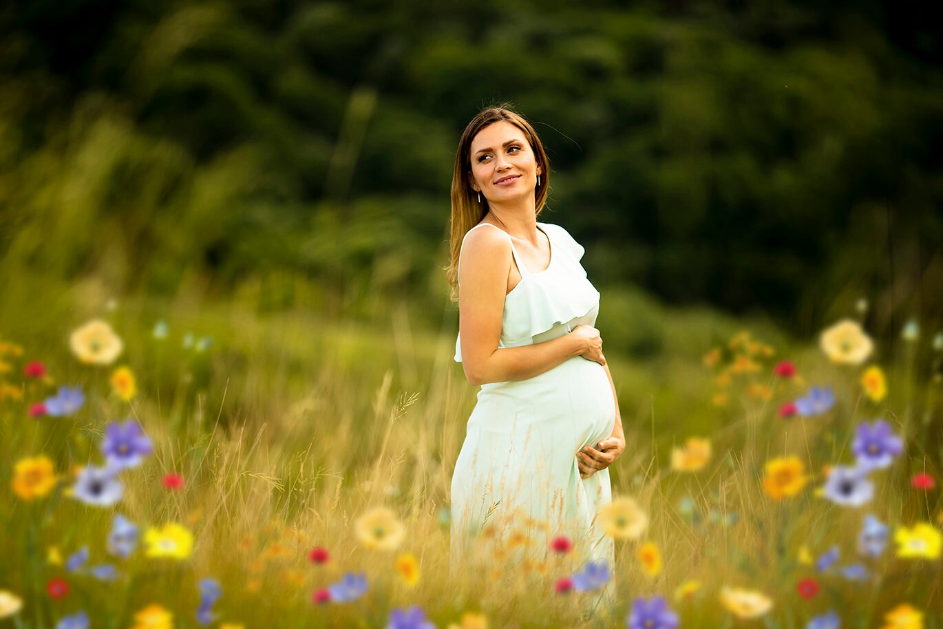 50 MULTICOLOR FLOWERS Overlays, Wildflowers Overlays, Flower Meadow Photoshop Overlays ...