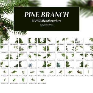55 PINE BRANCH Overlays Christmas Tree Overlay Winter Pine Backdrops ...