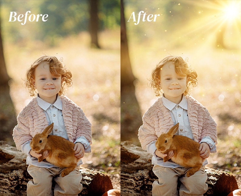 60 JPG Realistic Sunlight Natural Sunlight Overlay Photoshop Rainbow ...