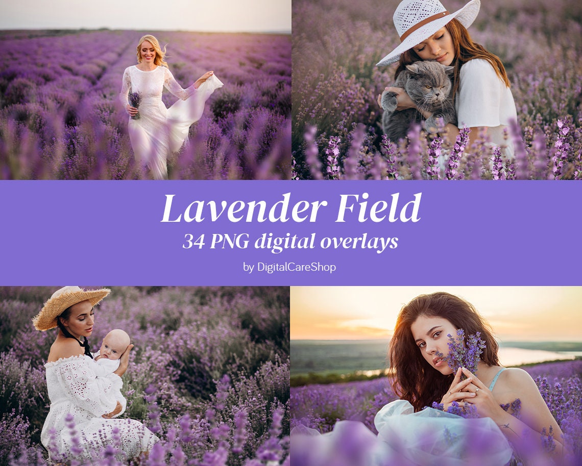 34 LAVENDER FIELD Digital Overlays Shooting Through the Lavender Effect ...