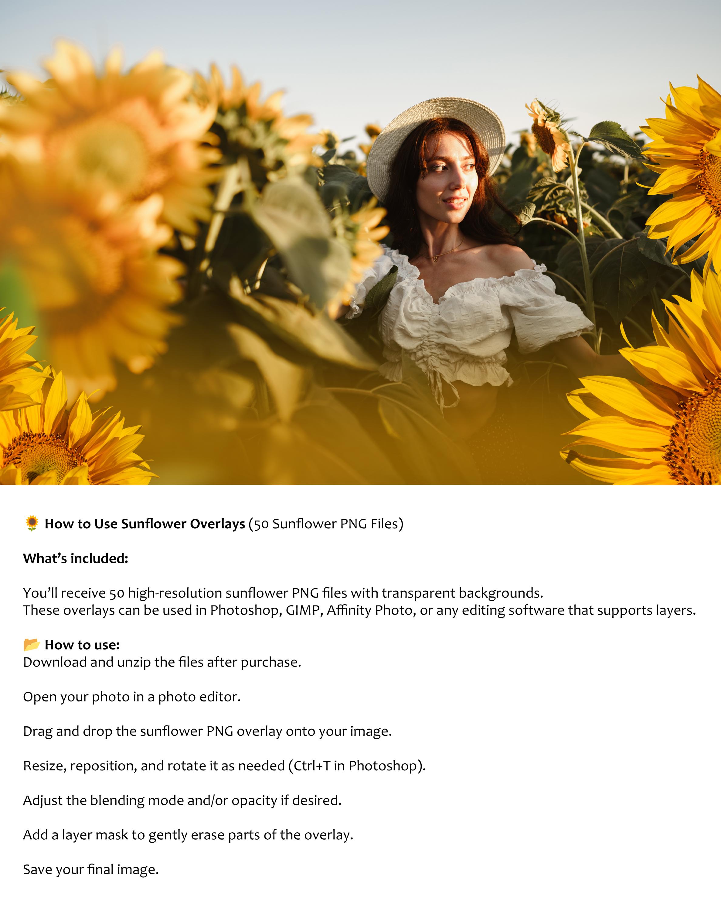 50 Sunflower Overlays Summer Backdrops Sunflowers Field Digital ...