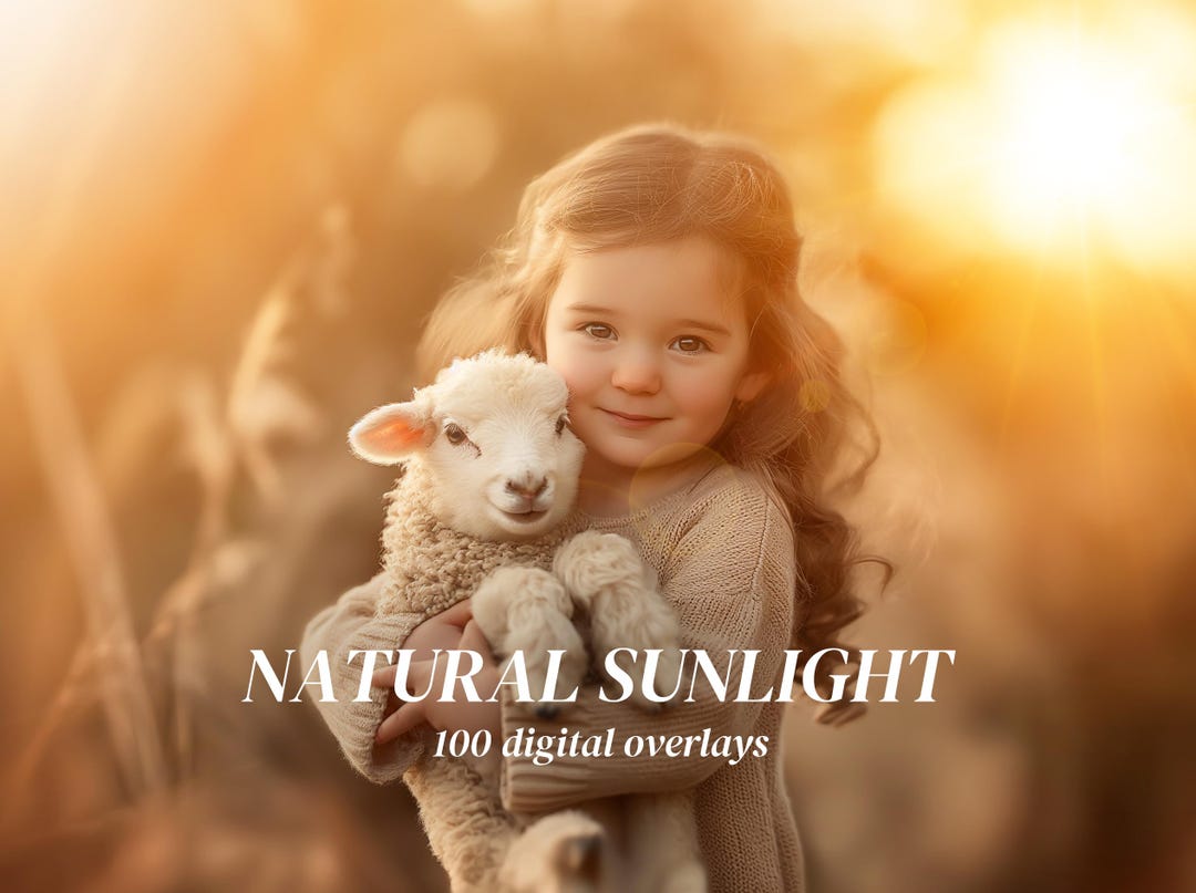 100 Realistic Sunlight Digital Overlays Natural Sun Overlay for ...