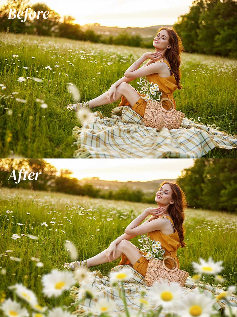 50 MULTICOLOR FLOWERS Overlays, Wildflowers Overlays, Flower Meadow ...