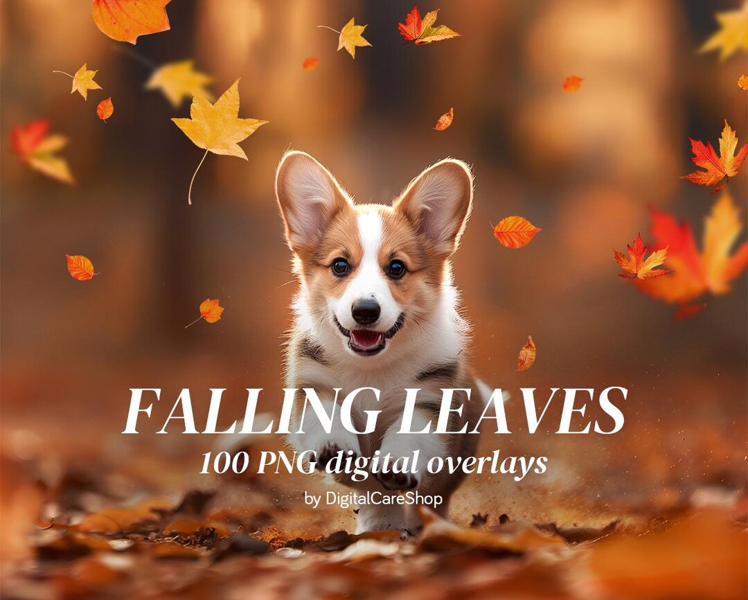 100 Falling Autumn Leaves Overlays Blowing Leaves Autumn Digital ...