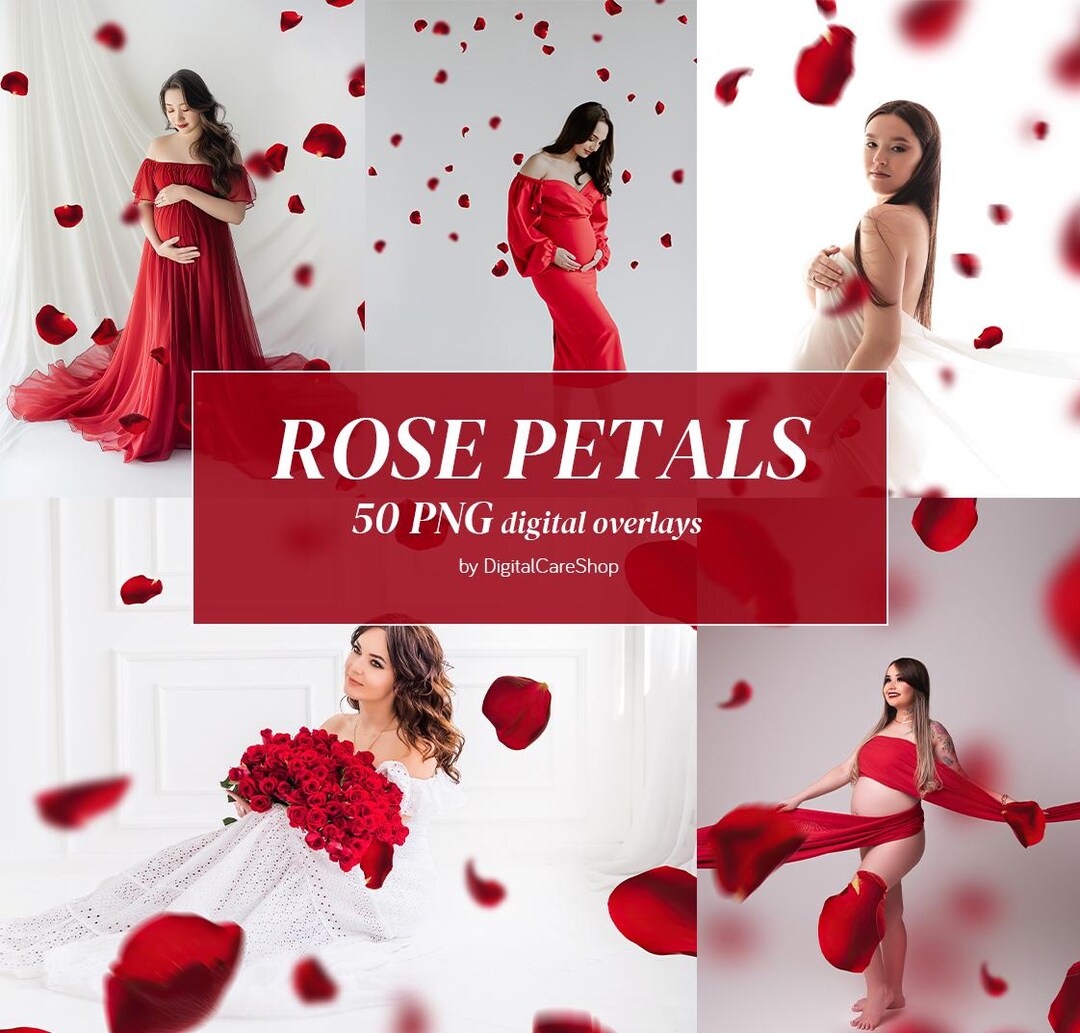 50 RED Rose Petals Overlays Falling Rose Petal Digital Overlay Romantic ...