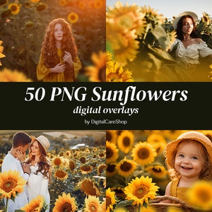 50 Sunflower Overlays Summer Backdrops Sunflowers Field Digital ...