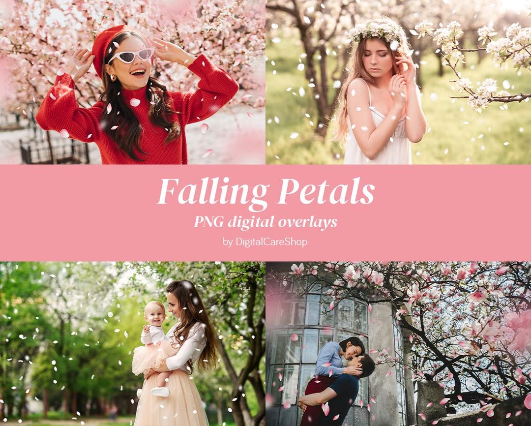 60 SPRING PETALS Photoshop Overlays Falling Flowers Summer Overlay ...