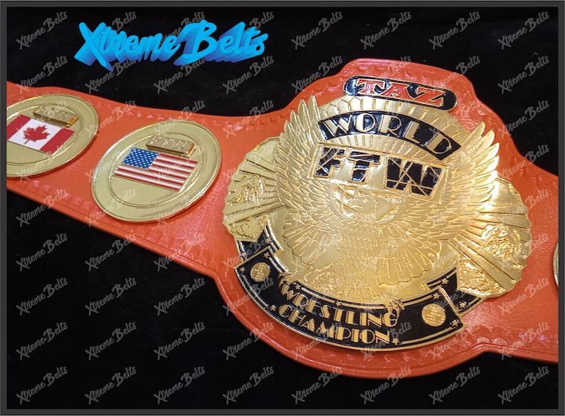 FTW World Heavyweight Championship Wrestling Belt - Etsy