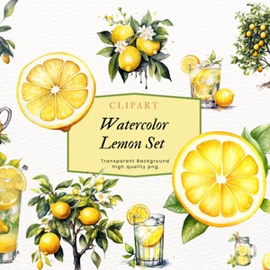 Vibrant Watercolor Lemon Clipart Set Citrus Fruit Illustrations ...
