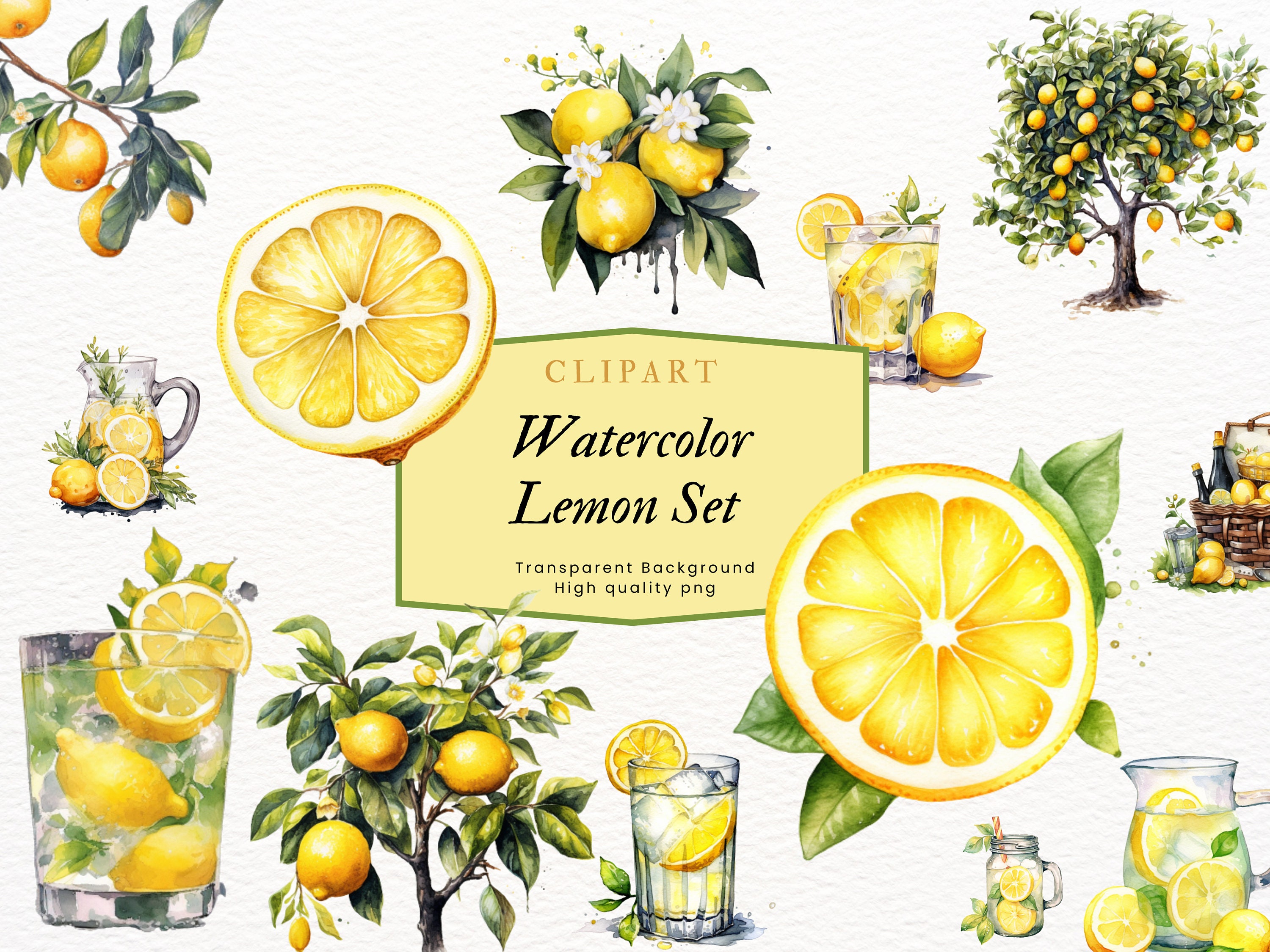 Vibrant Watercolor Lemon Clipart Set Citrus Fruit Illustrations ...