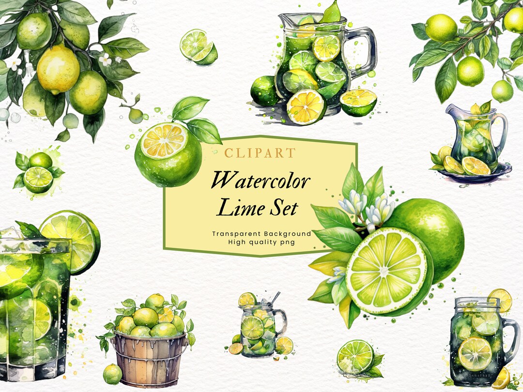 Vibrant Watercolor Lime Clipart Set Citrus Fruit Illustrations ...