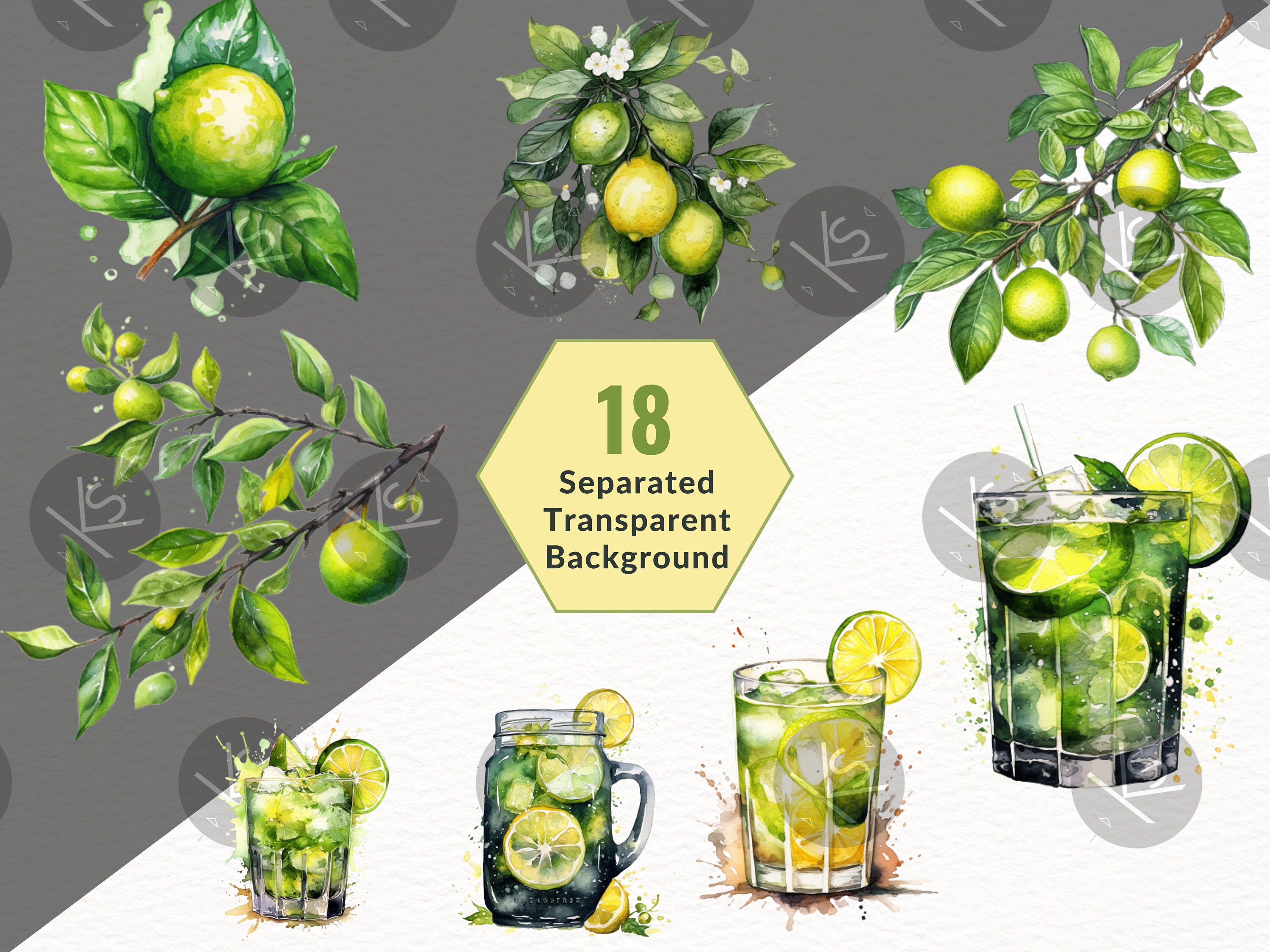 Vibrant Watercolor Lime Clipart Set Citrus Fruit Illustrations ...