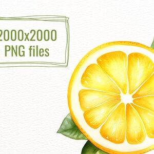 Vibrant Watercolor Lemon Clipart Set Citrus Fruit Illustrations ...