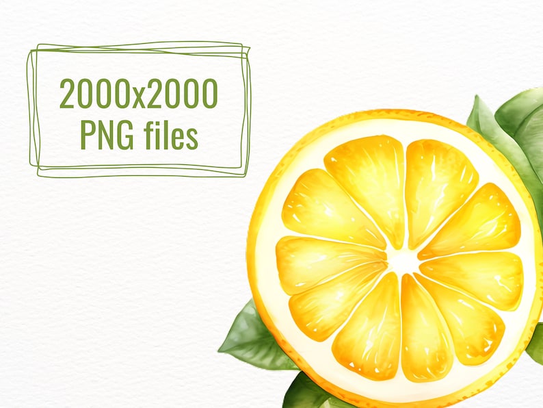 Vibrant Watercolor Lemon Clipart Set Citrus Fruit - Etsy