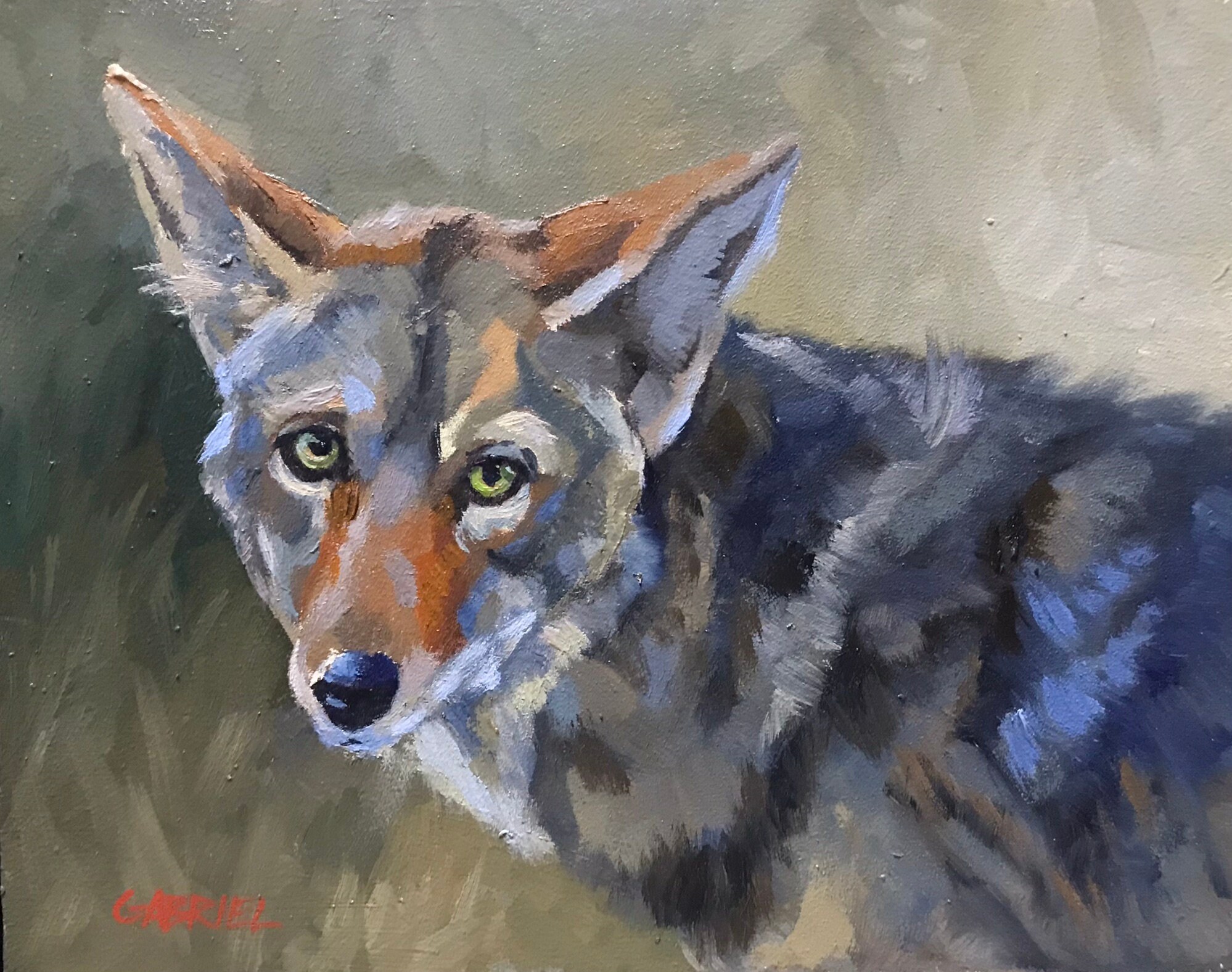 Original 8x10 Oil Painting coyote Artwork - Etsy