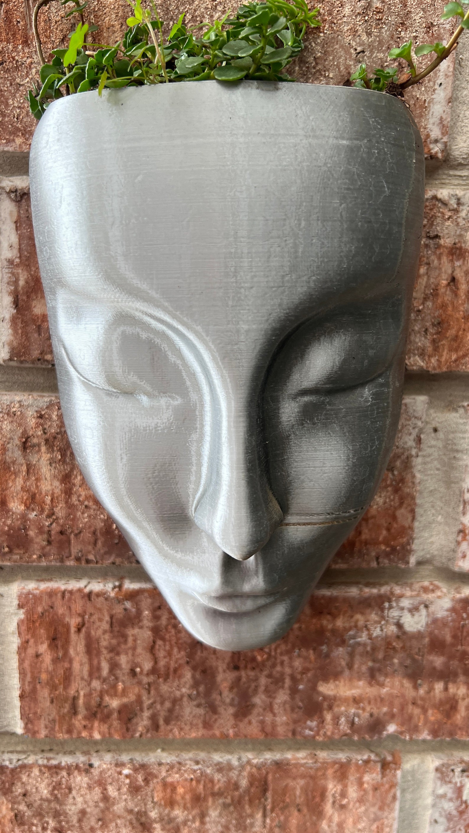Large Face Wall Hanging Planter - Etsy