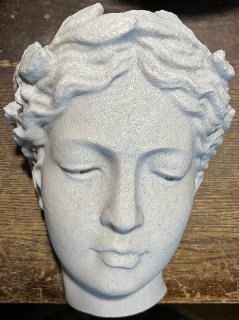 Roman Head Planter - Etsy
